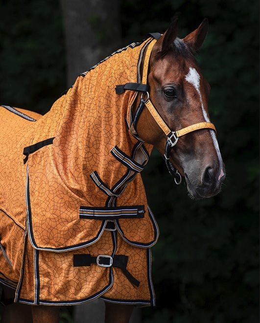 SET CAPEZZA LUNGHINA EQUESTRIAN SPORTS | Selleria Faggin