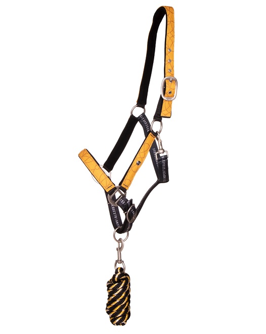 SET CAPEZZA LUNGHINA EQUESTRIAN SPORTS | Selleria Faggin