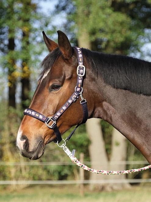 Capezze e Lunghine | Selleria Faggin